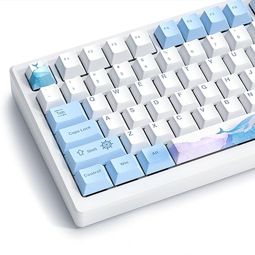 XVX PBT Keycaps, Keycaps 75 Percent, Blue Cherry Profile Keycaps, Dye ...