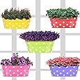 Bison International Polka Dotted Oval Railing Planters Balcony Garden ...