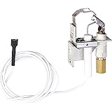 Amazon.com: Raypak IID Pilot Assembly 002003F Natural Gas and Propane ...