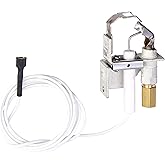 Amazon.com: Raypak IID Pilot Assembly 002003F Natural Gas and Propane ...
