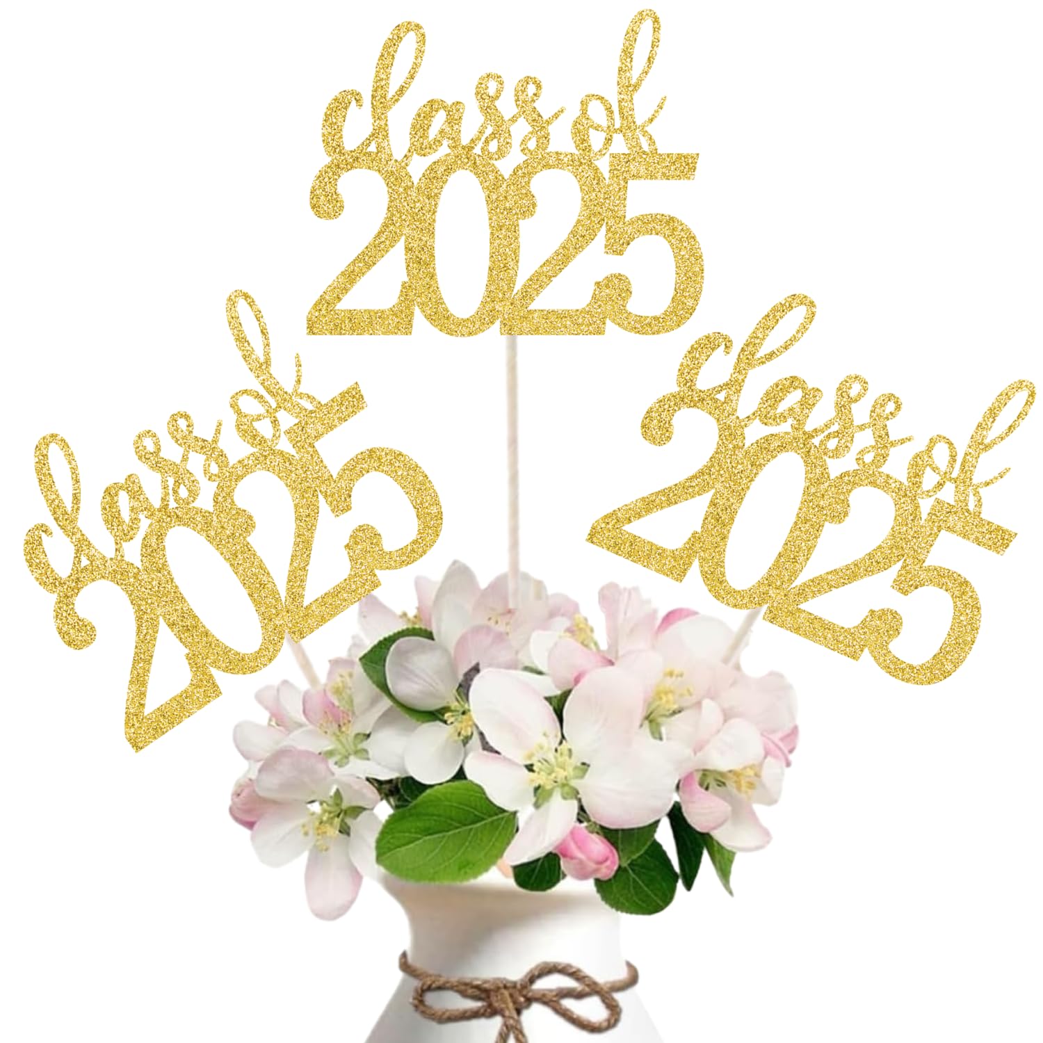 ALISSAR 12 Pack Pre-assembled Double Sided Class of 2025 Graduation ...