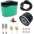 Amazon.com: 792105 593435 Air Filter 696854 492932S Oil Filter Kit ...