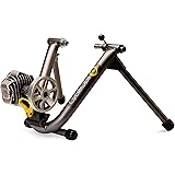 Amazon.com : CycleOps Wind Indoor Bicycle Trainer : Bike Trainers ...