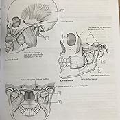 Netter Anatomia para colorir | Amazon.com.br