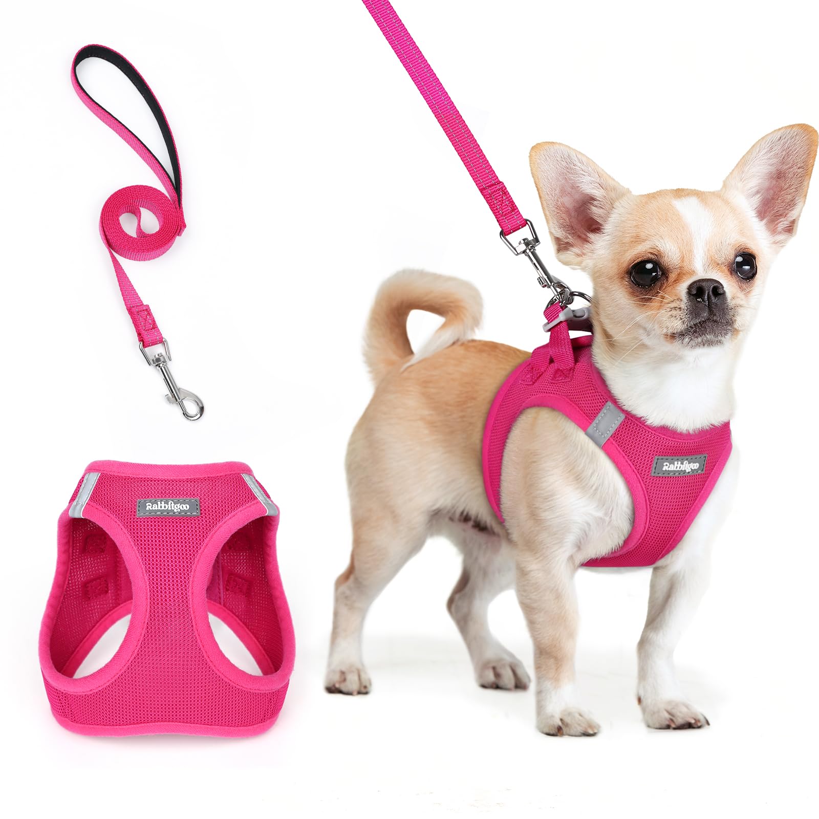 rabbitgoo Dog Harness Small Sized and Leash Set, Step in Soft Light ...