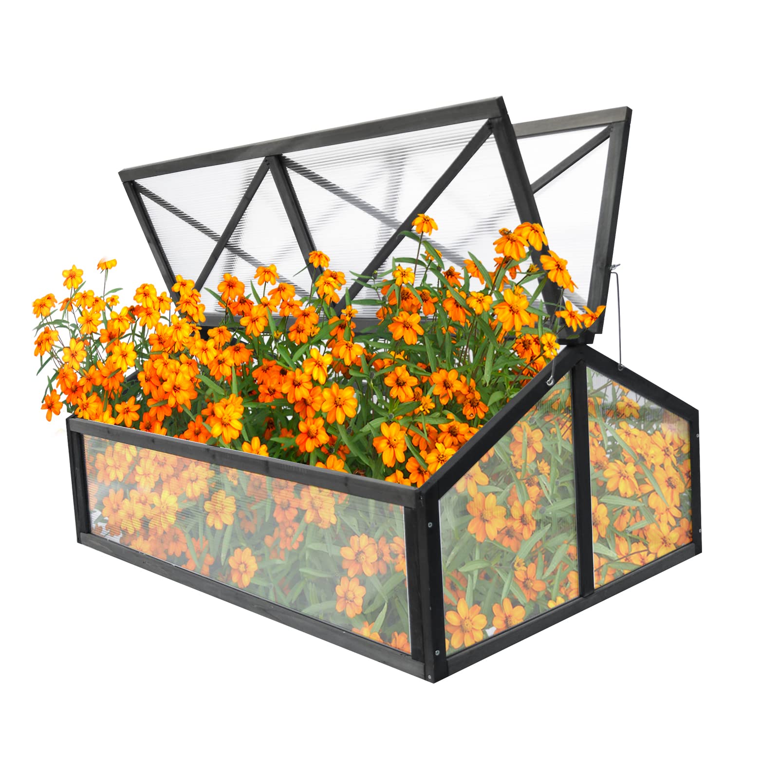 Cold Frames Kuwait | Buy Online | Whizz Others