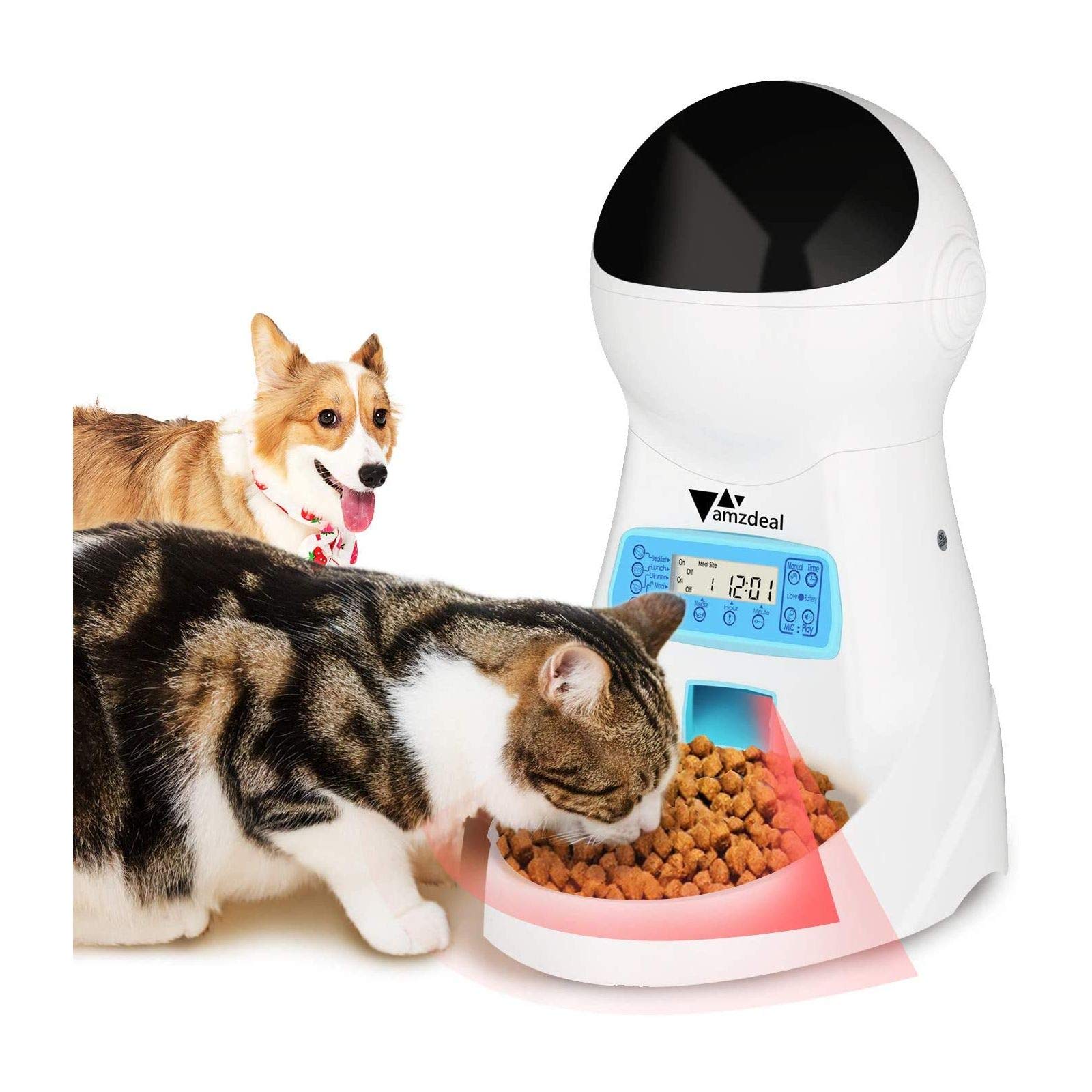 Buy Amzdeal Cat Food Dispenser Automatic Pet Feeder For Cats And Buy Amzdeal Cat Food Dispenser Automatic Pet Feeder For Cats And
