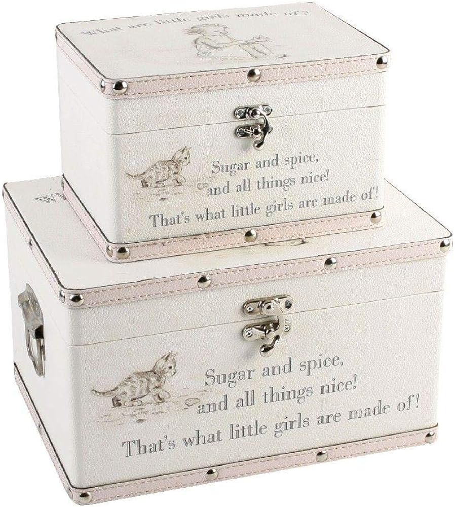 Luggage series - Set of 2 Baby Storage Boxes - "Little Girls": Amazon ...