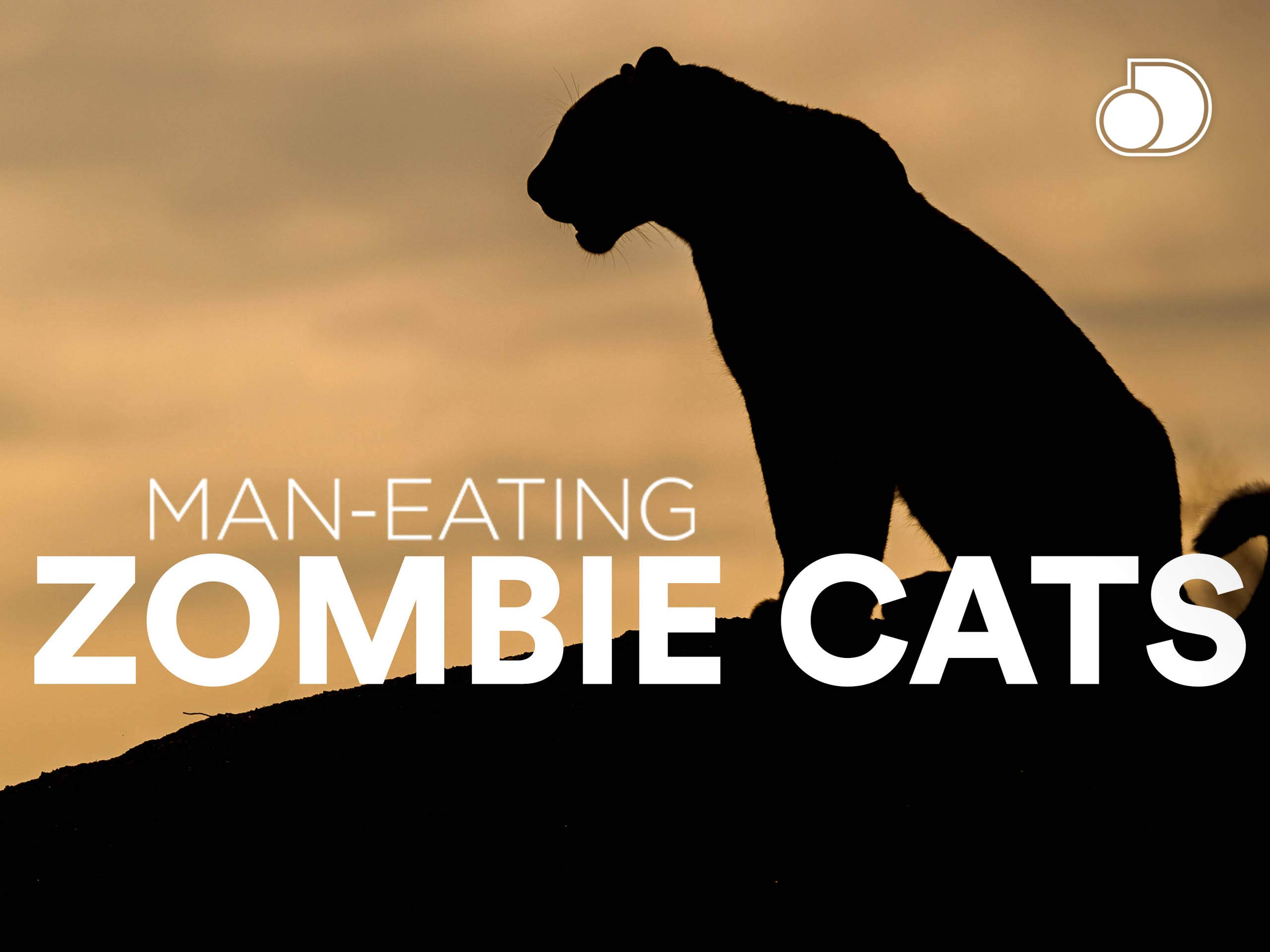 Watch Man-Eating Zombie Cats - Season 1 | Prime Video