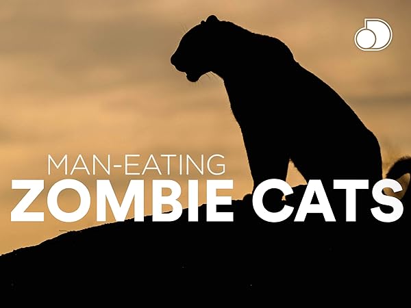 Watch Man-Eating Zombie Cats - Season 1 | Prime Video