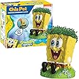 Amazon.com : Chia Pet Spongebob with Seed Pack, Decorative Pottery ...