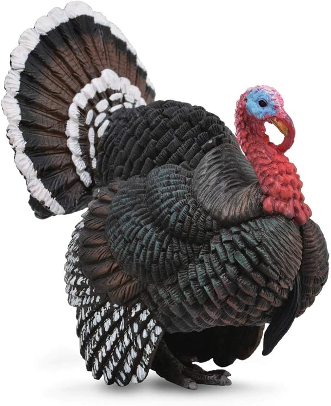 CollectA Turkey Animal Toy: Amazon.co.uk: Toys & Games