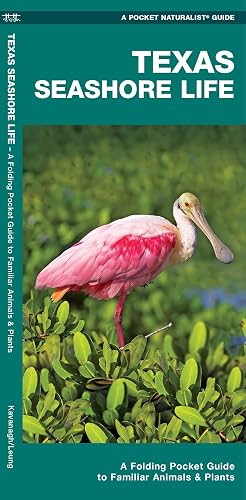 Texas Seashore Life, 2nd Edition: A Folding Pocket Guide to Familiar ...