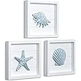 Amazon.com: TideAndTales Blue Seashells and Starfish (Framed Set of 3 ...