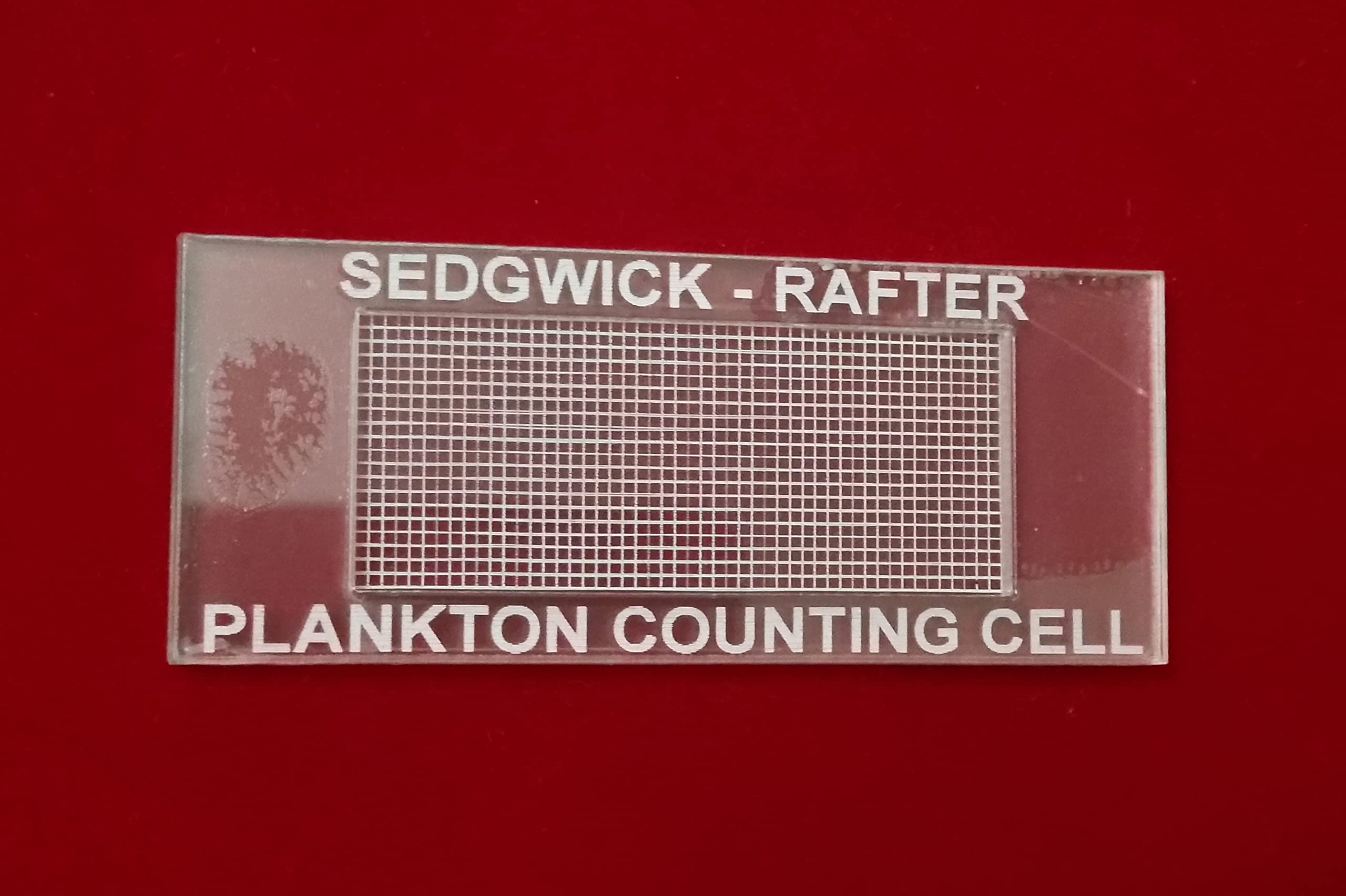 Gridded Acrylic Sedgewick-Rafter Counting Cell | Plankton Counting Cell ...