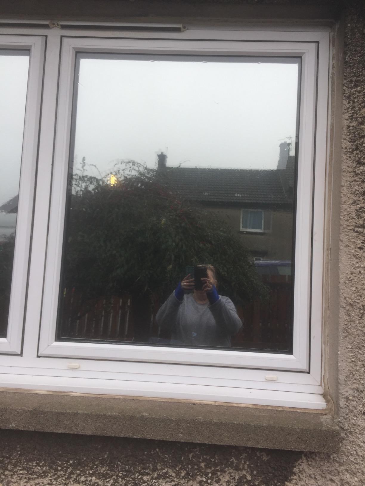 Rabbitgoo Silver Mirror Window Film Reflective One Way window Sticky ...