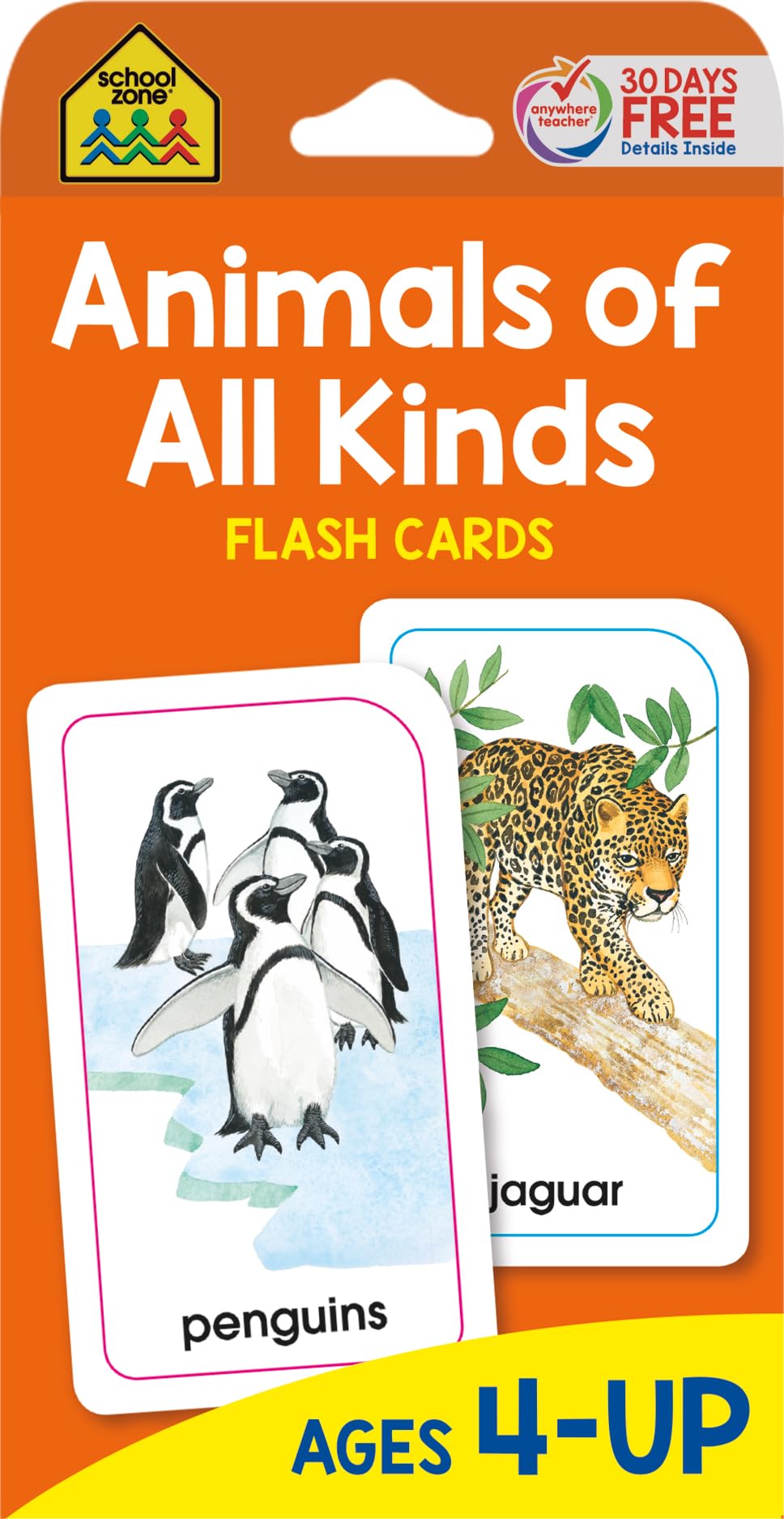 Mua School Zone - Animals of All Kinds Flash Cards - Ages 4 and Up ...