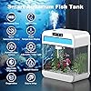 Fish Tank Aquarium 2.2 Gallon with Humidifier 7 Color Looping Light ...