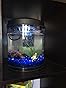 KollerCraft Aquarius AquaView 360 Aquarium Kit with LED Light, 2-Gallon ...