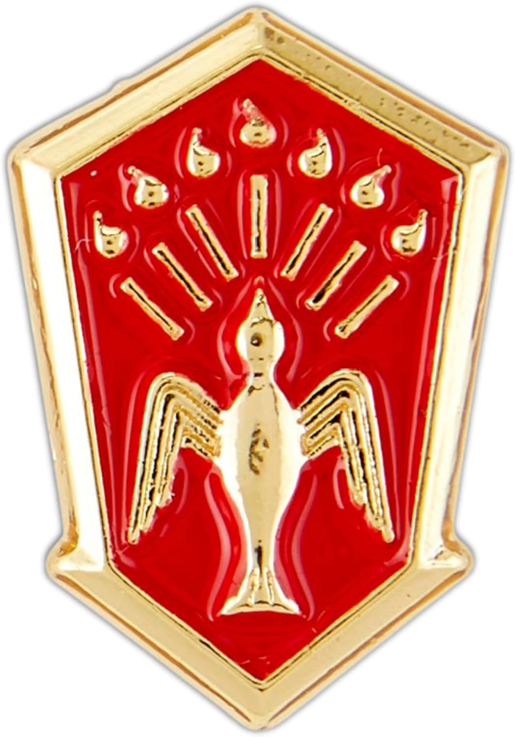 Amazon.com: Confirmation Lapel Pin, Gold Tone Shield Shaped with Red ...