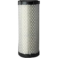 Amazon.com: Solarhome Pack of 2 Air Filter P822858 & P821575 Compatible ...