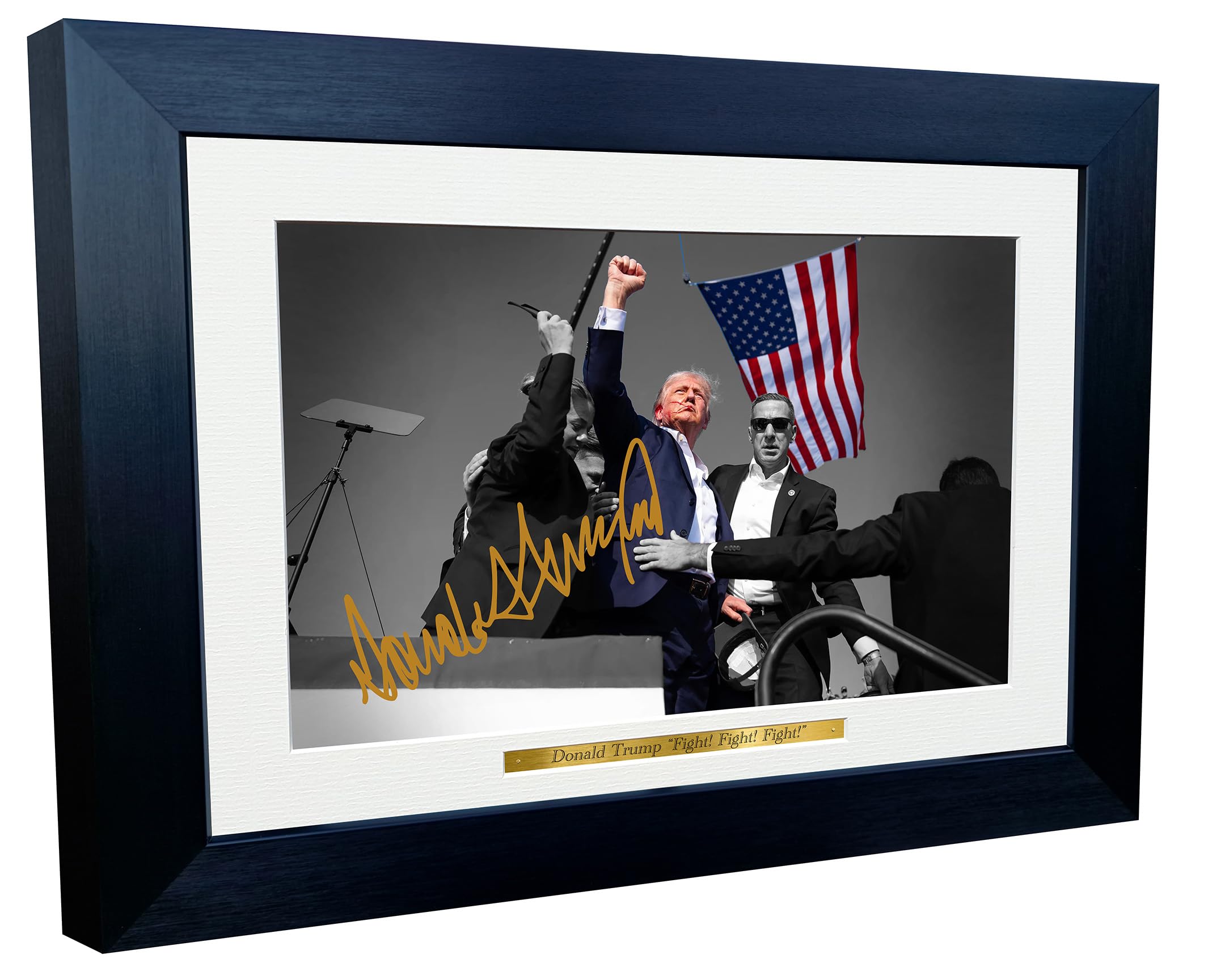 Kitbags & Lockers 12x8 A4 Donald Trump President Republican Rally Fight ...