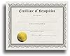 Certificate of Recognition Certificate Paper with Embossed Gold Foil ...