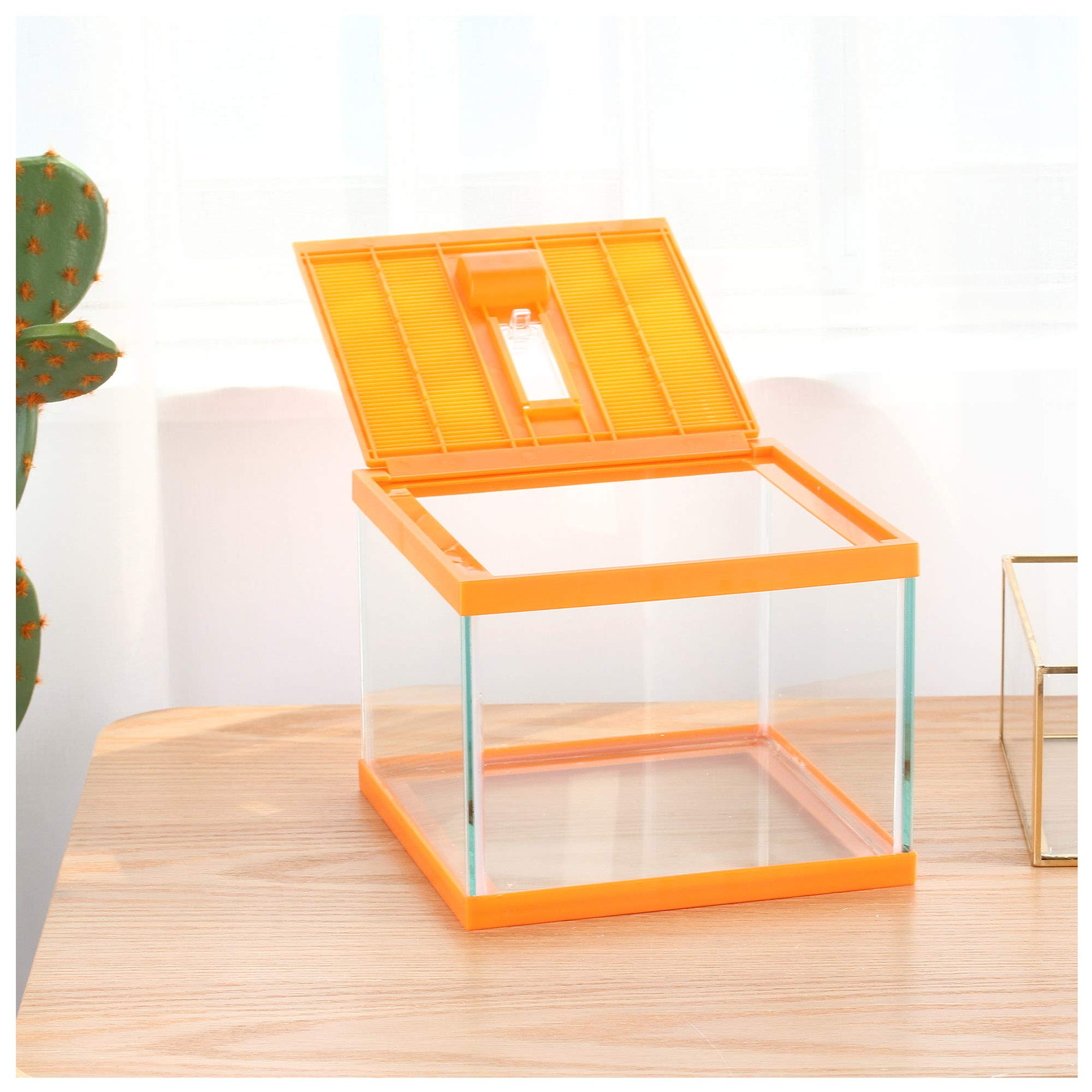 Mua crapelles Reptile Terrarium kit Color Orange Spider Container Tarantula Box cage Gecko ...