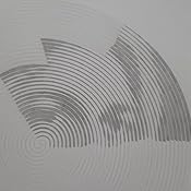 Spiroglyphics: Animals: Amazon.co.uk: Pavitte, Thomas: Books