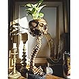 Amazon.com : abocyn Skull Planter & Spine Stand, Resin Skeleton Flower ...