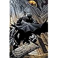 Amazon.com: DC Comics Batman Night Watch Maxi Poster, Wood, Multi ...
