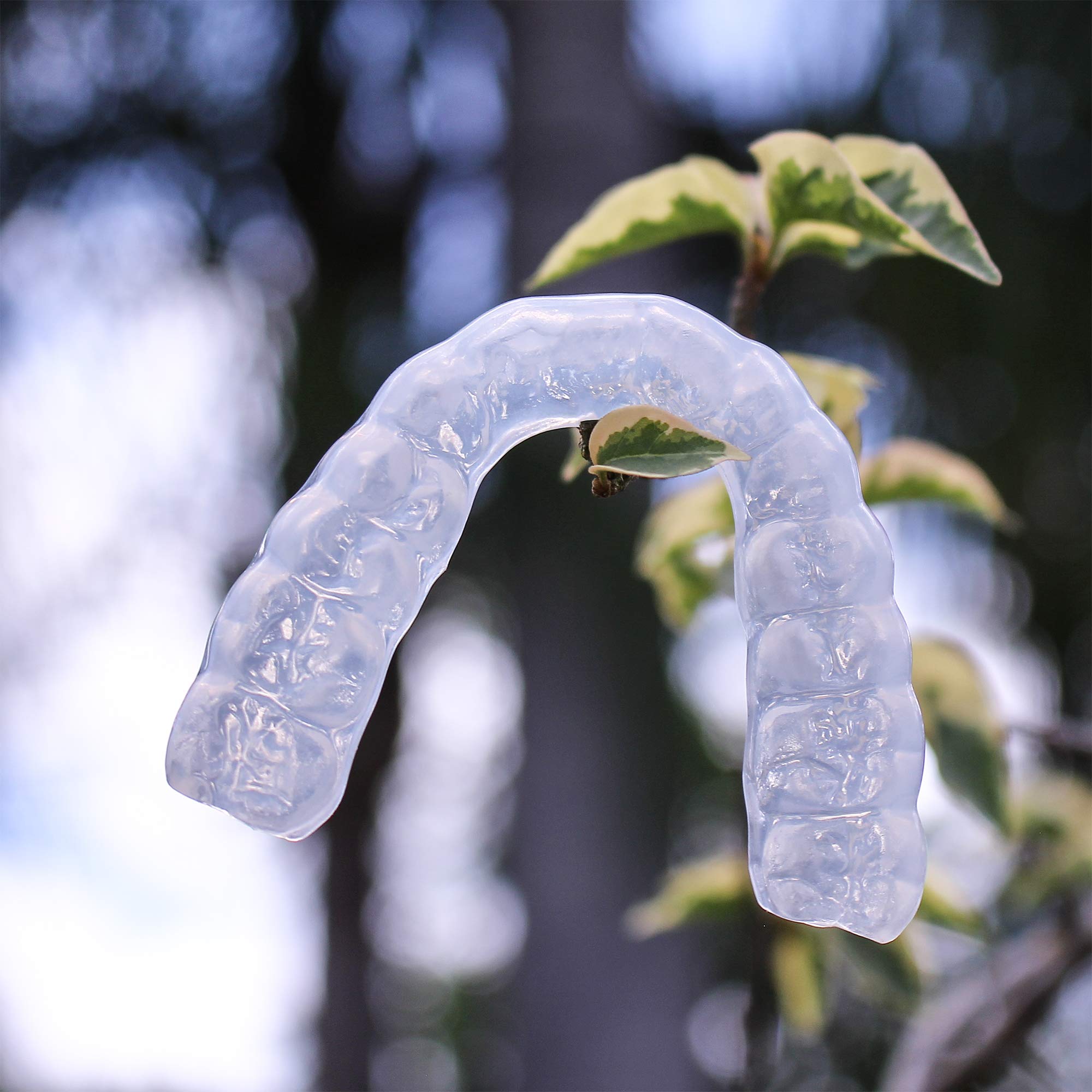 American DentalCraft Dental Night Guard for Sleeping - Custom Mouth ...