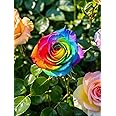 Amazon.com : ROSEWINKLE 1000pcs Climbing Maniac Rose Seeds for Planting ...