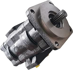 Amazon.com: Solarhome Hydraulic Pump Assembly D149283 for Case Backhoe ...