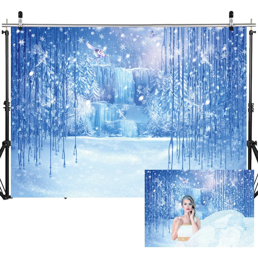 DHXXSC 10X8FT Winter Backdrop Wonderland Scene Photography Backdrop ...