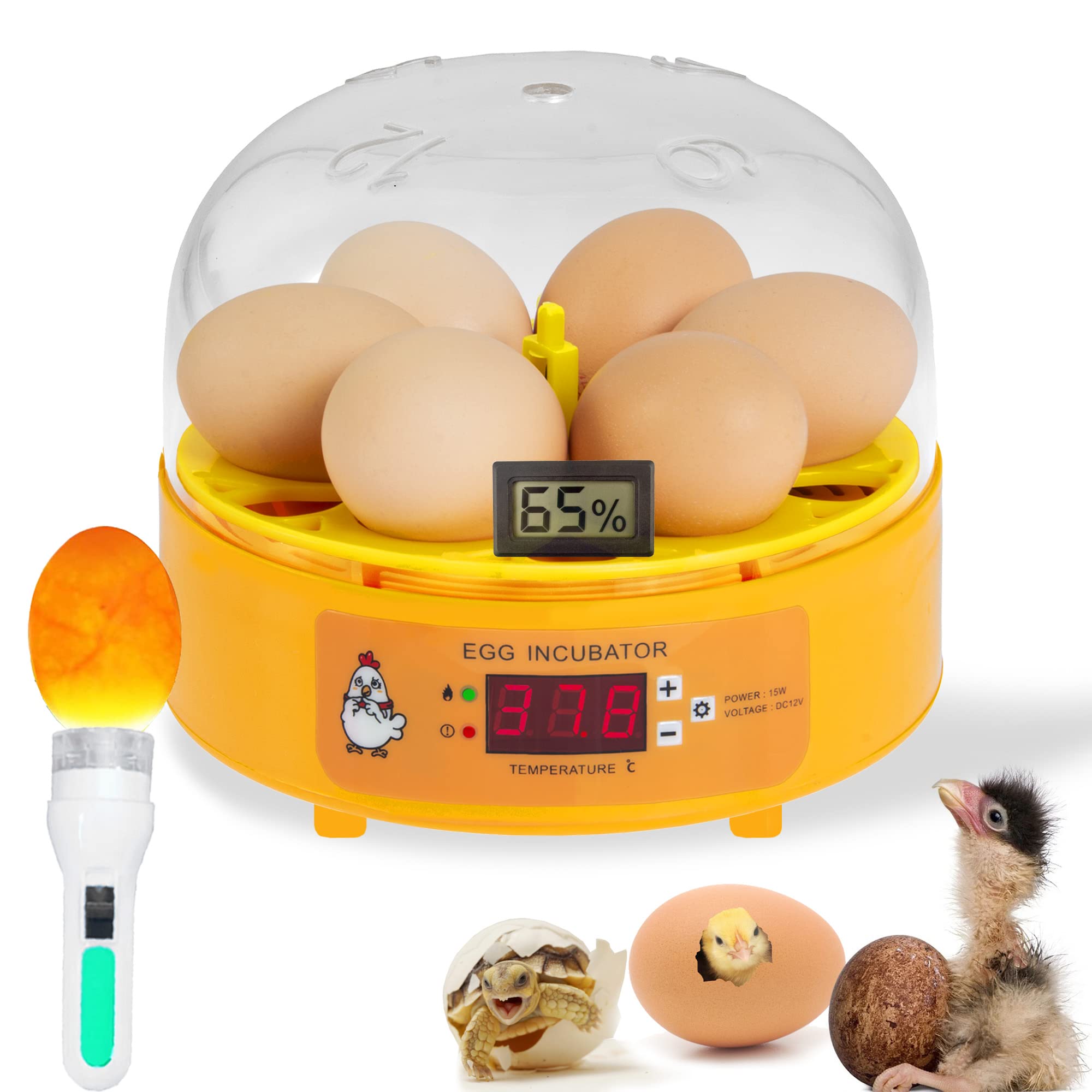 Mua Eggs Incubators for Hatching Eggs,Automatic Egg Turner, Temperature Humidity Control,Egg ...