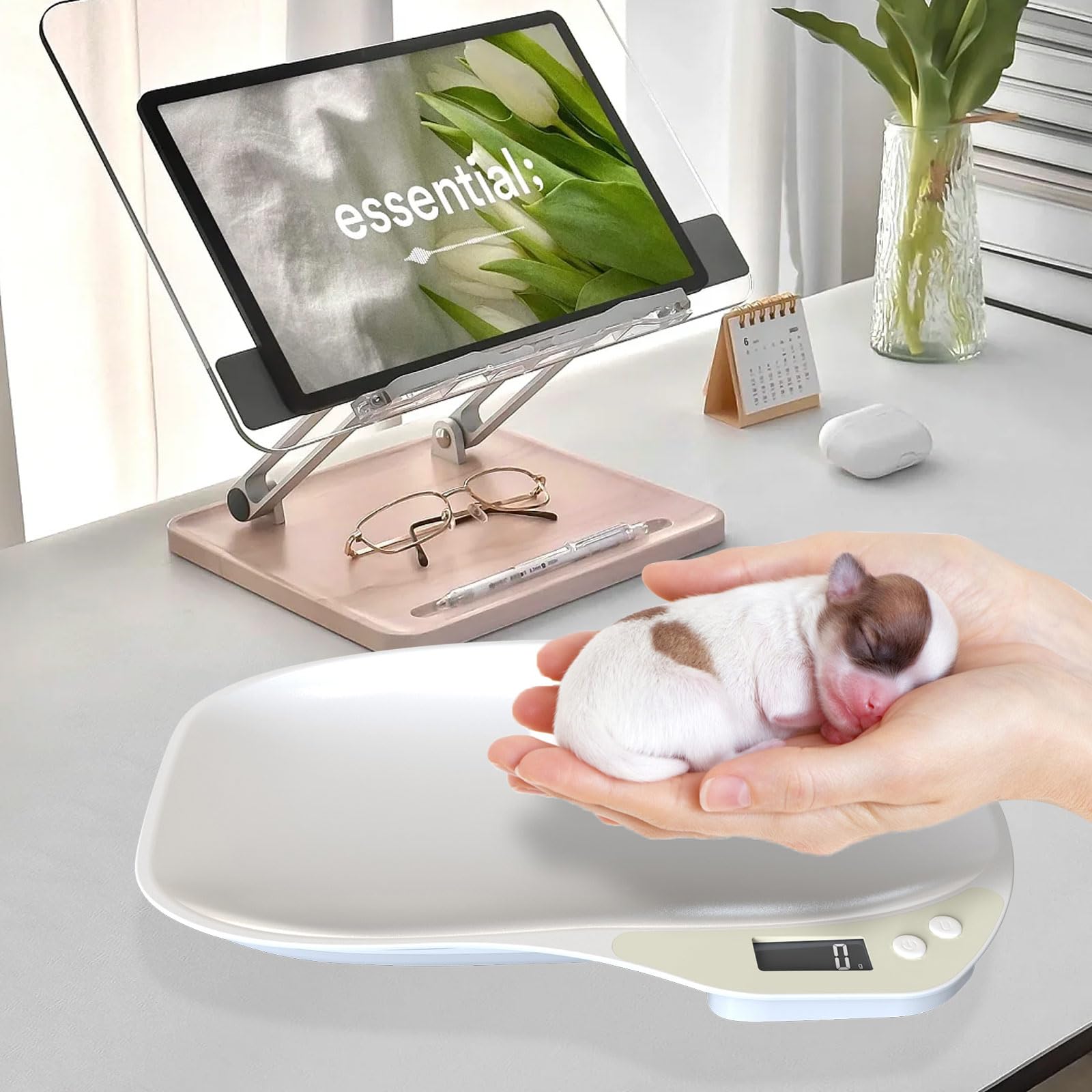 Small Digital Pet Scale For Dogs Cats, Max 33 Lbs LCD Display Small ...