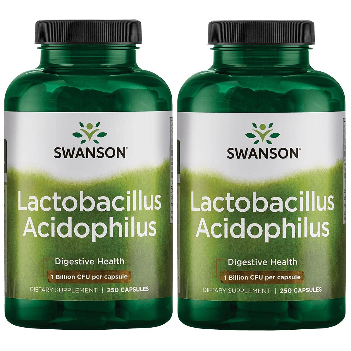 Mua Lactobacillus Acidophilus - Probiotic Supplement Supporting ...