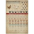 Amazon.com: Chicken Knowledge Metal Tin Sign Anatomy Of A Chicken Funny ...