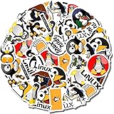 Amazon.com: 20 PCS Stickers Pack Kali Aesthetic Linux Vinyl Colorful ...