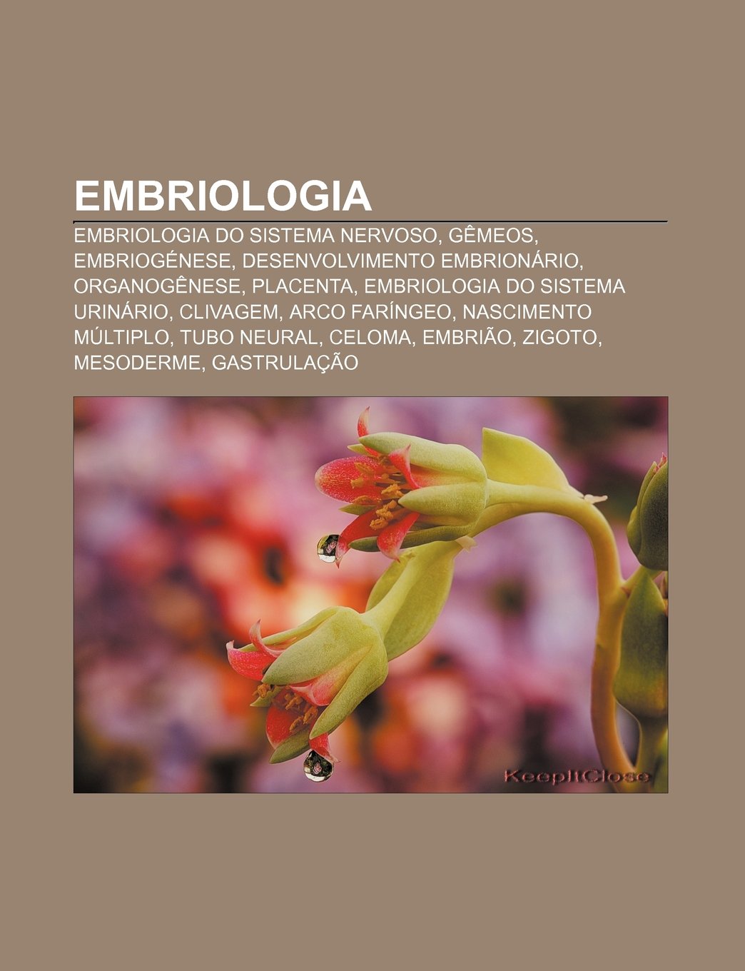 Embriologia: Embriologia Do Sistema Nervoso, Gemeos, Embriogenese ...