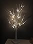Amazon.com: PEIDUO Set of 2 2FT 24LT Birch Tree Battery Powered Warm ...