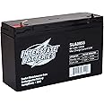 Amazon.com: Interstate Batteries Power Patrol 6V 10Ah Battery (SLA0955 ...