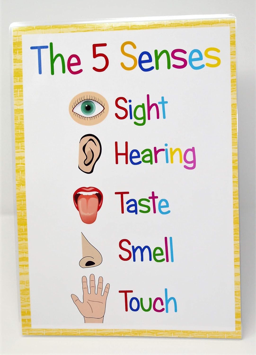Kids2learn THE FIVE SENSES A4 Poster Sign Educational Nursery SEN kids2learn-the-five-senses-a4-poster-sign-educational-nursery-sen
