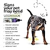 UroMAXX, Cat & Dog Urinary Tract Treatment, Bladder & Kidney Support ...