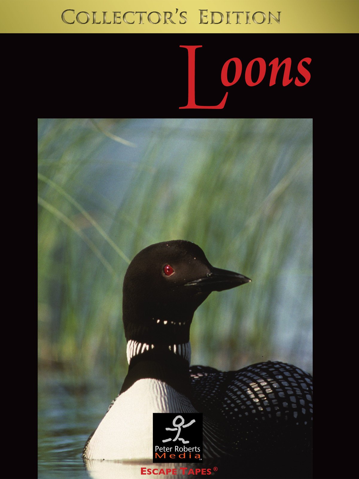 Watch Loons | Prime Video