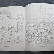 Dover Publications-Wonderful World Of Horses Coloring Book (Dover ...