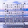 Amazon.com: Acrylic Seashell Display Case, - 100 Grids Magnetic Seashell Display Box ...