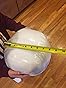 Amazon.com: 16-Inch Deflated Size Solid White Beach Ball - Inflatable ...