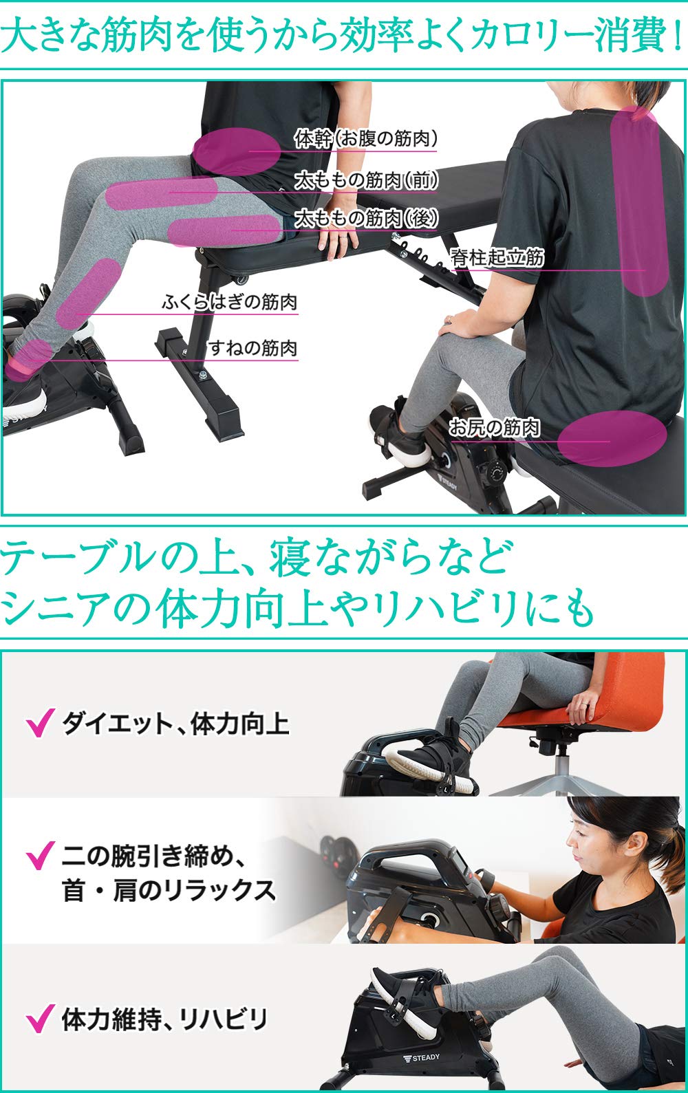 Mua STEADY ST121 Newest UX Model, Exercise Bike, Mini Fitness Bike, No ...